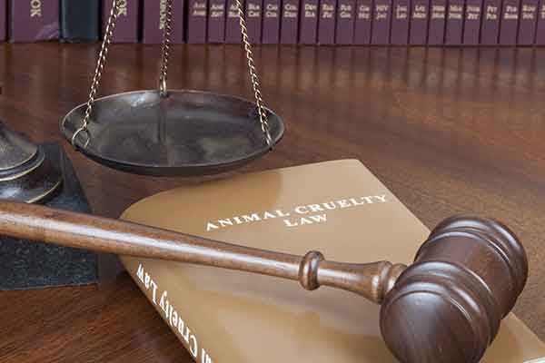 Benjamin Katz, Esq. P.C. | New York, NY | Estate Planning Attorney